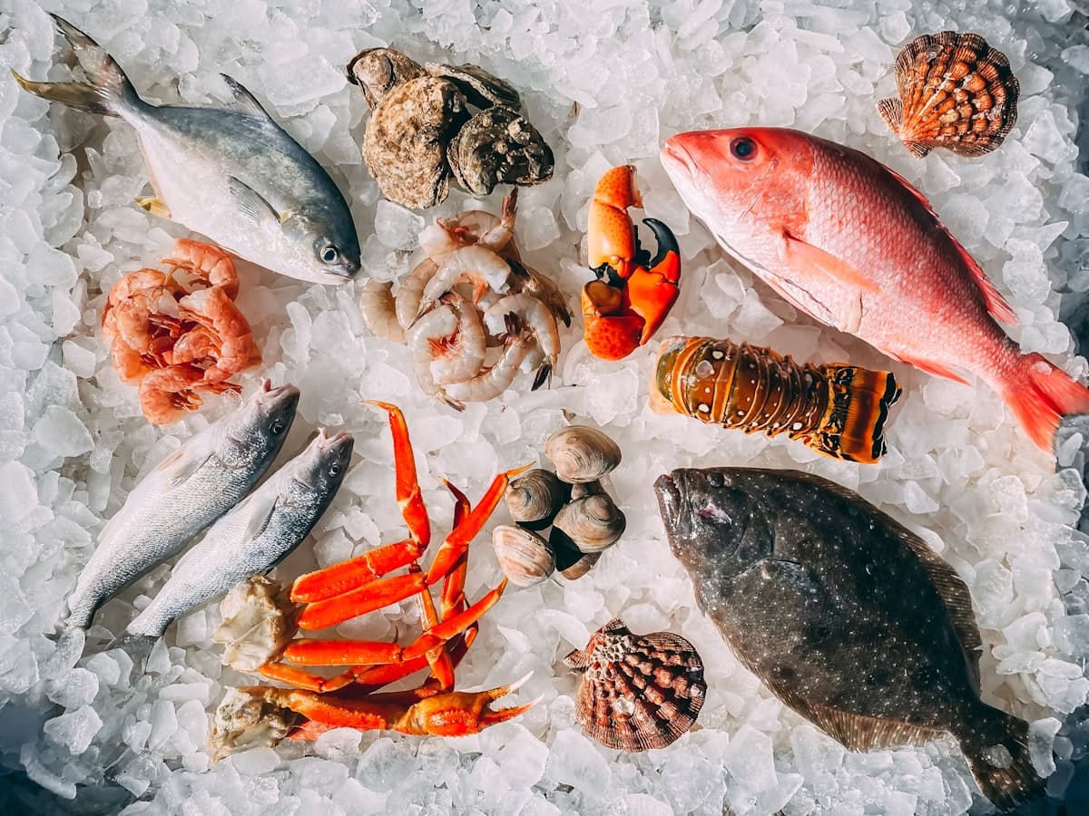 Boston Is America's #1 Food City in 2026: 7 Restaurants Proving Why ...